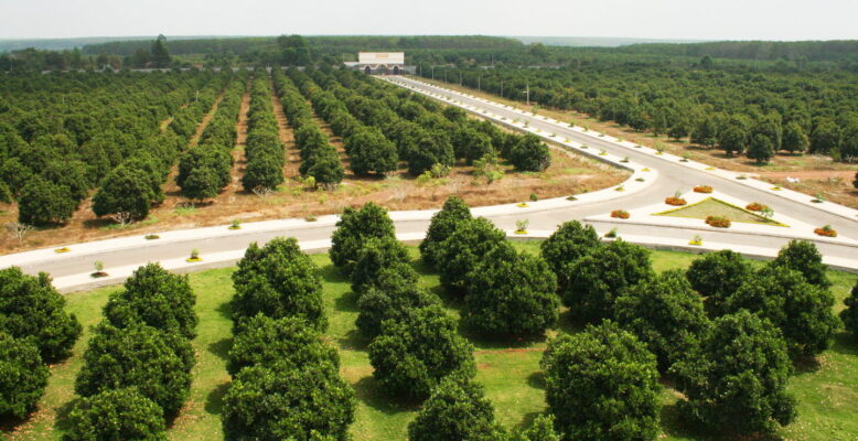 VINAMIT - Vietnam Wholesale